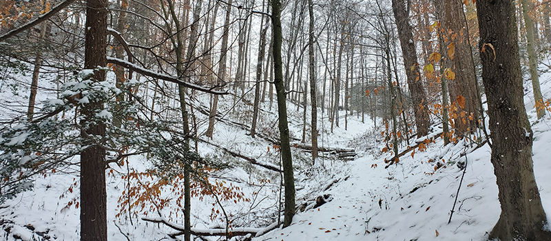 Welcome to Baltimore Woods Nature Center | Nature in Your Hands ...