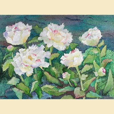 Welcome to Baltimore Woods Nature Center | Nature in Your Hands ...