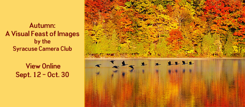 Welcome to Baltimore Woods Nature Center | Nature in Your Hands ...