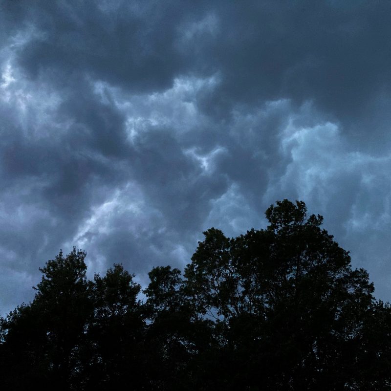 The Naturalist’s Blog – Welcome to Baltimore Woods Nature Center ...