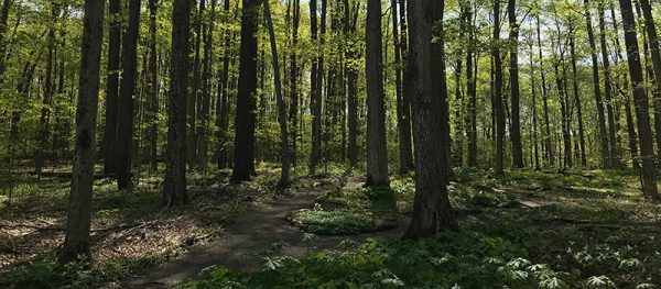 Welcome to Baltimore Woods Nature Center | Nature in Your Hands ...