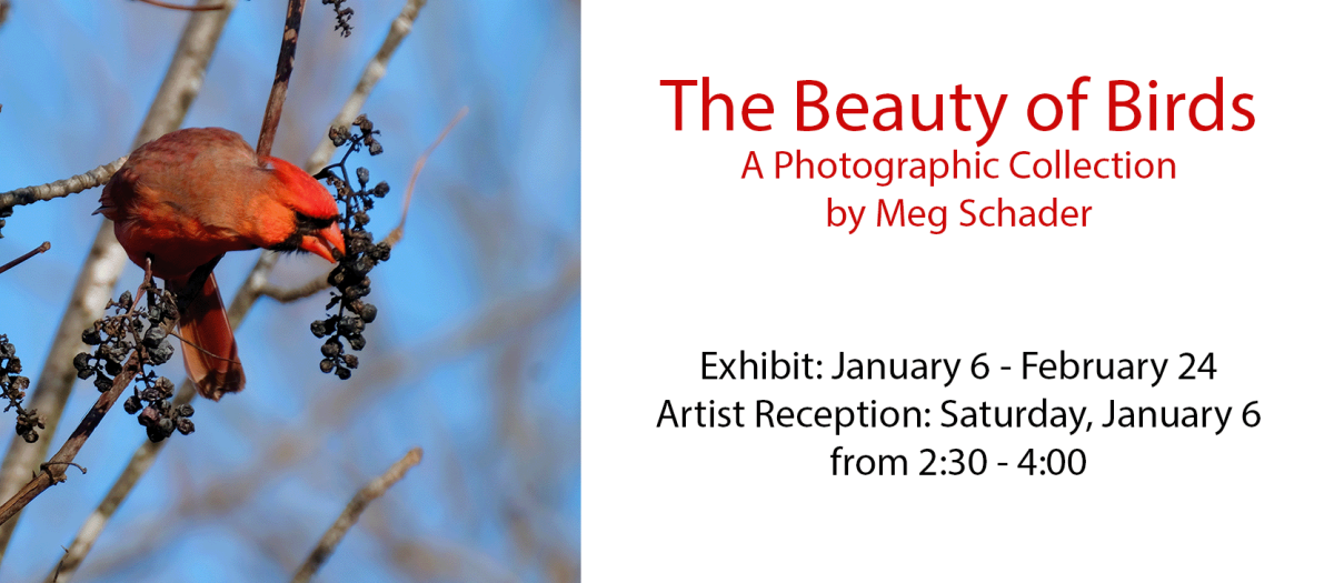 Welcome to Baltimore Woods Nature Center | Nature in Your Hands ...