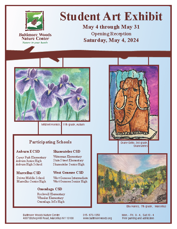 Art Gallery – Welcome to Baltimore Woods Nature Center | Nature in Your ...