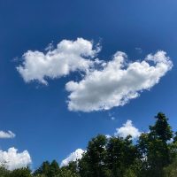 The Naturalist’s Blog – Welcome to Baltimore Woods Nature Center ...