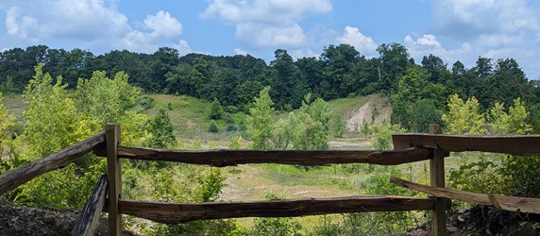 Welcome to Baltimore Woods Nature Center | Nature in Your Hands ...