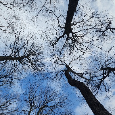 The Naturalist’s Blog – Welcome to Baltimore Woods Nature Center ...