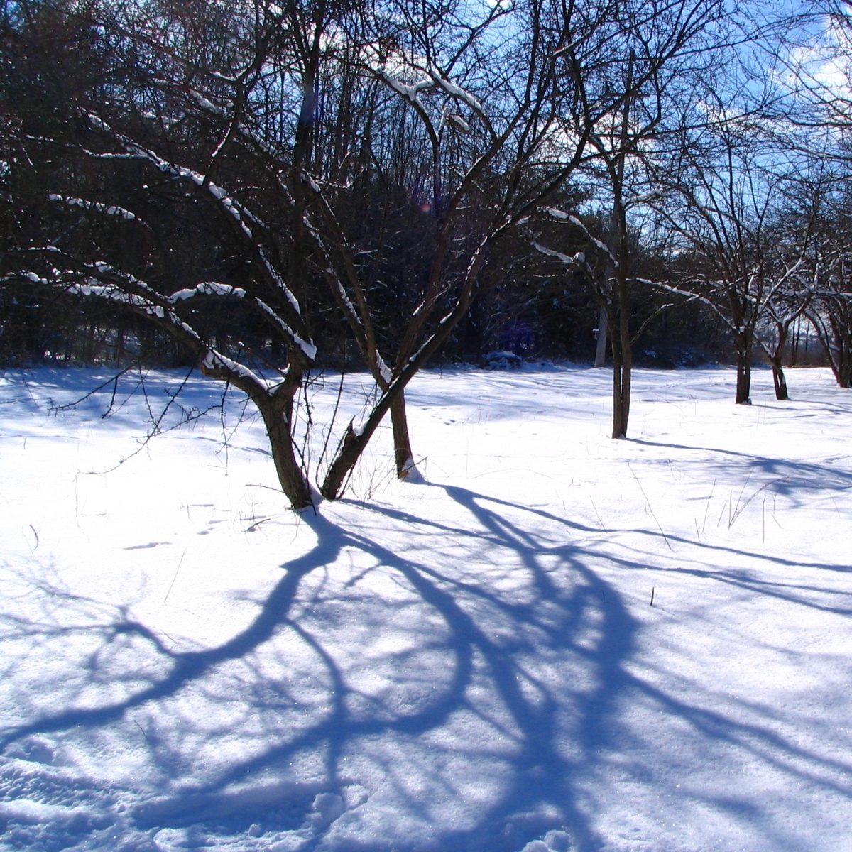 Membership – Welcome to Baltimore Woods Nature Center | Nature in Your ...