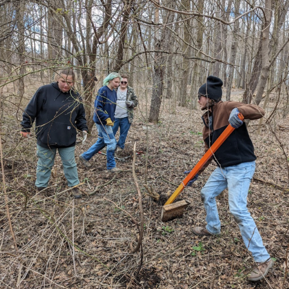 TREES Crew – Welcome to Baltimore Woods Nature Center | Nature in Your ...