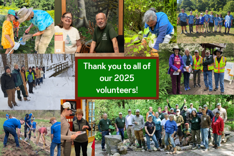 December 2025: Volunteering in 2025 – Welcome to Baltimore Woods Nature ...